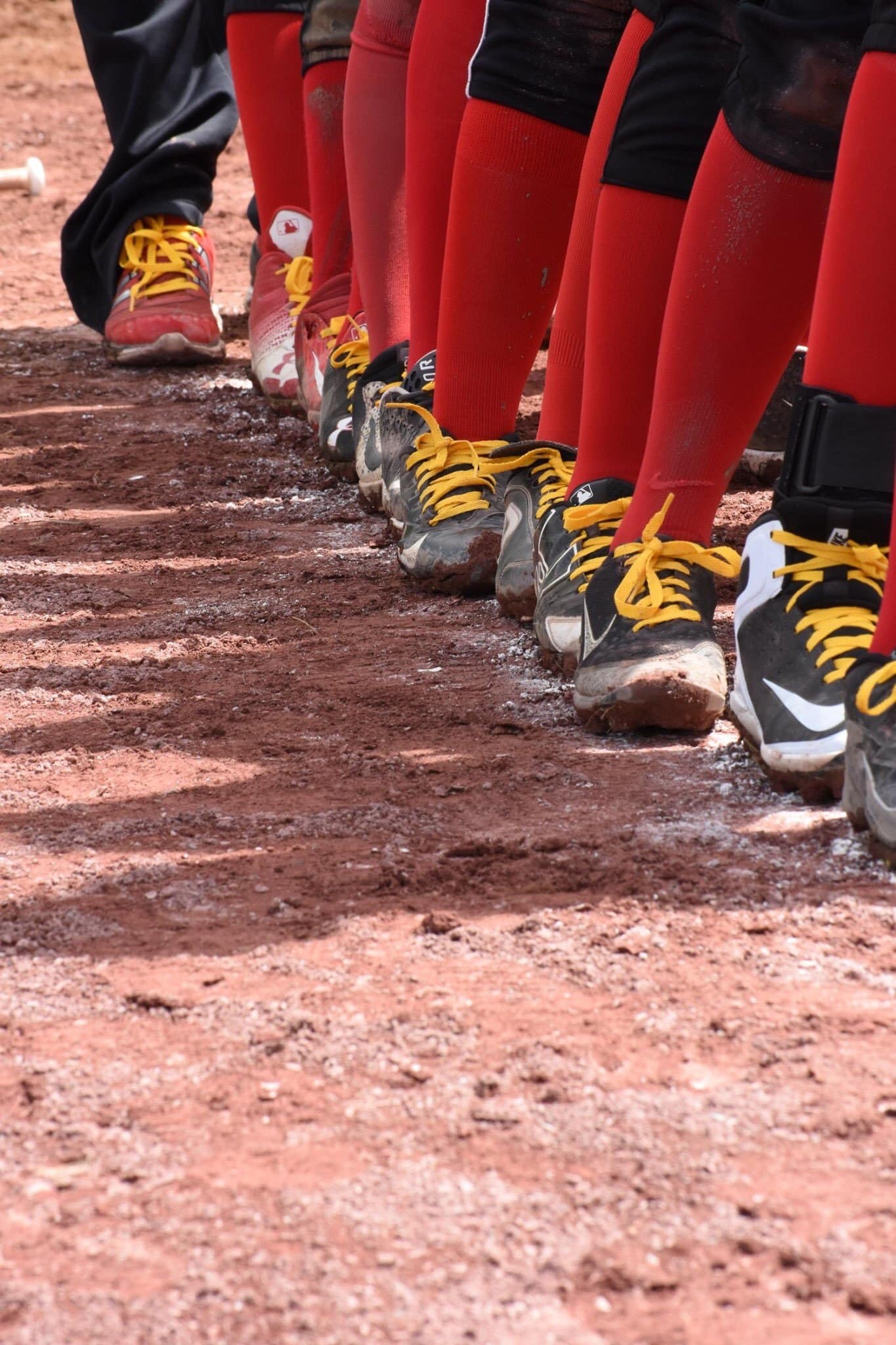 Tamarac baseball and softball programs raised over $7,500 for pediatric ...