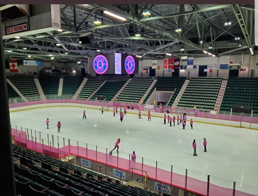 QHS Spartans Hockey Pink the Rink 2021 | Team Up 4 Community
