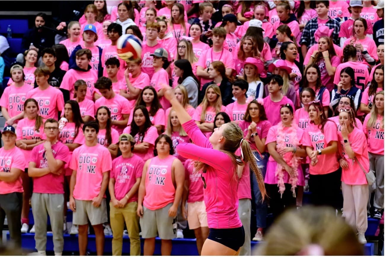 Medway High School Dig Pink Campaign 2022 | Team Up 4 Community