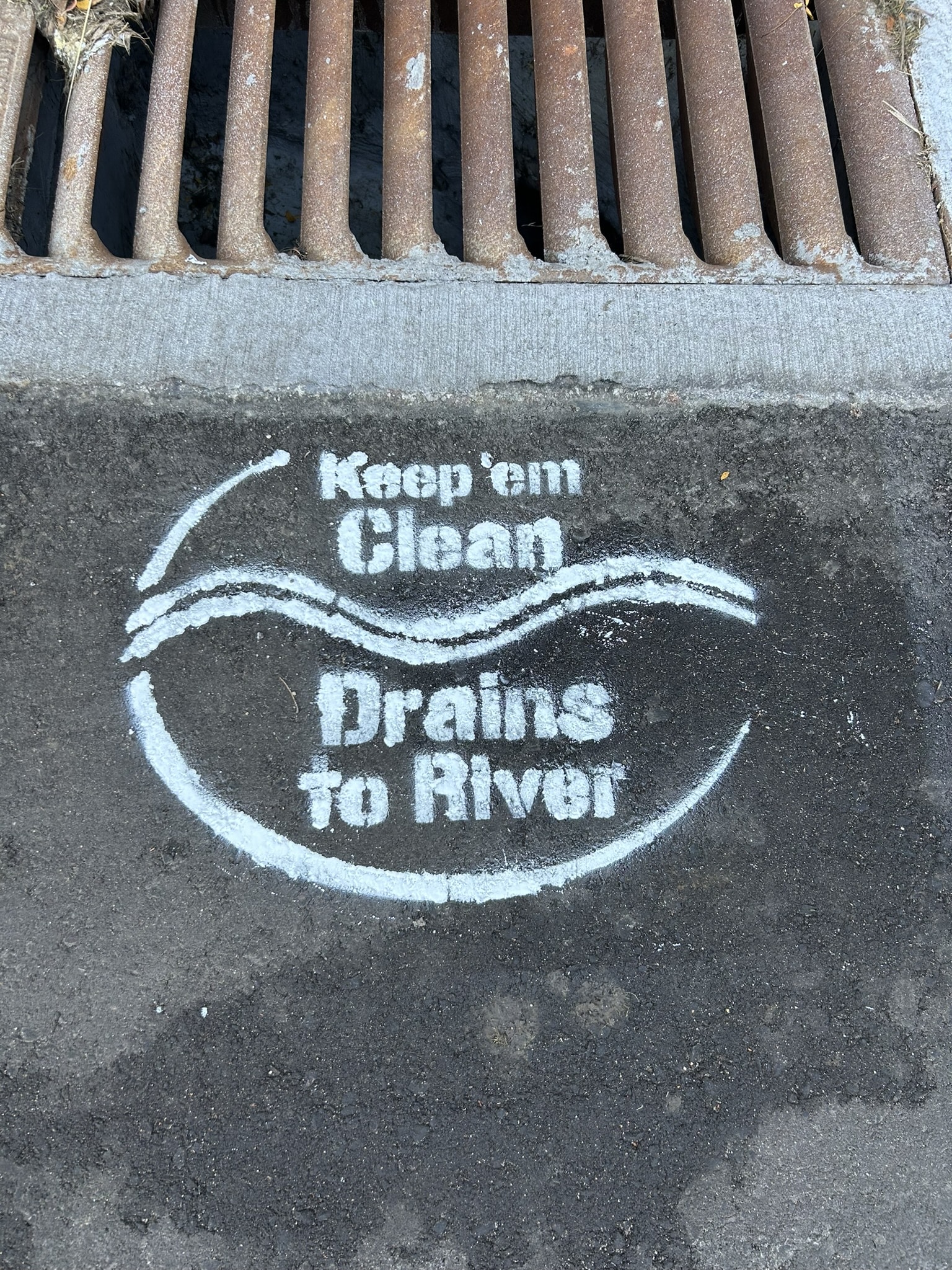 Making an Environmental Difference! Storm Drain Stenciling - Friends of ...